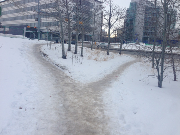Least Resistance: How Desire Paths Can Lead to Better Design - 99% ...