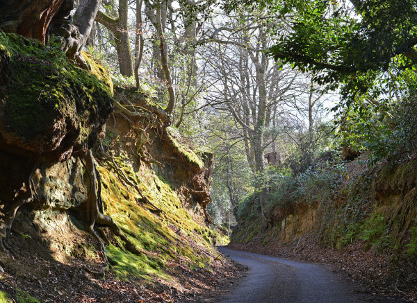 Least Resistance: How Desire Paths Can Lead to Better Design - 99% ...