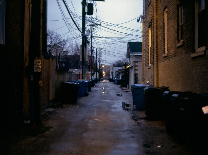 Unlikely Neighbors: America's Linear Alley Capital & First Curvy Suburb ...