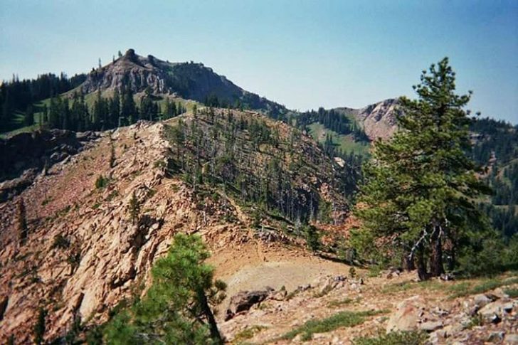 Behind the Scenery: The Subtle Art of Crafting Public Wilderness Trails ...