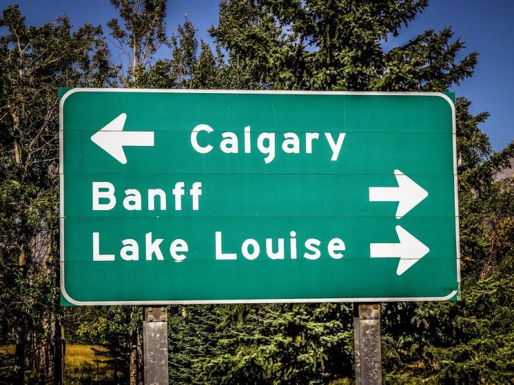 You Should Do a Story - 99% Invisible