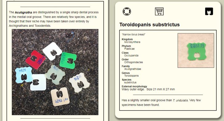 Bagged & Tagged: An Introductory Field Guide to Plastic Bread Clips ...