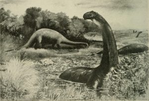 Freedom House Ambulance Service - 99% Invisible