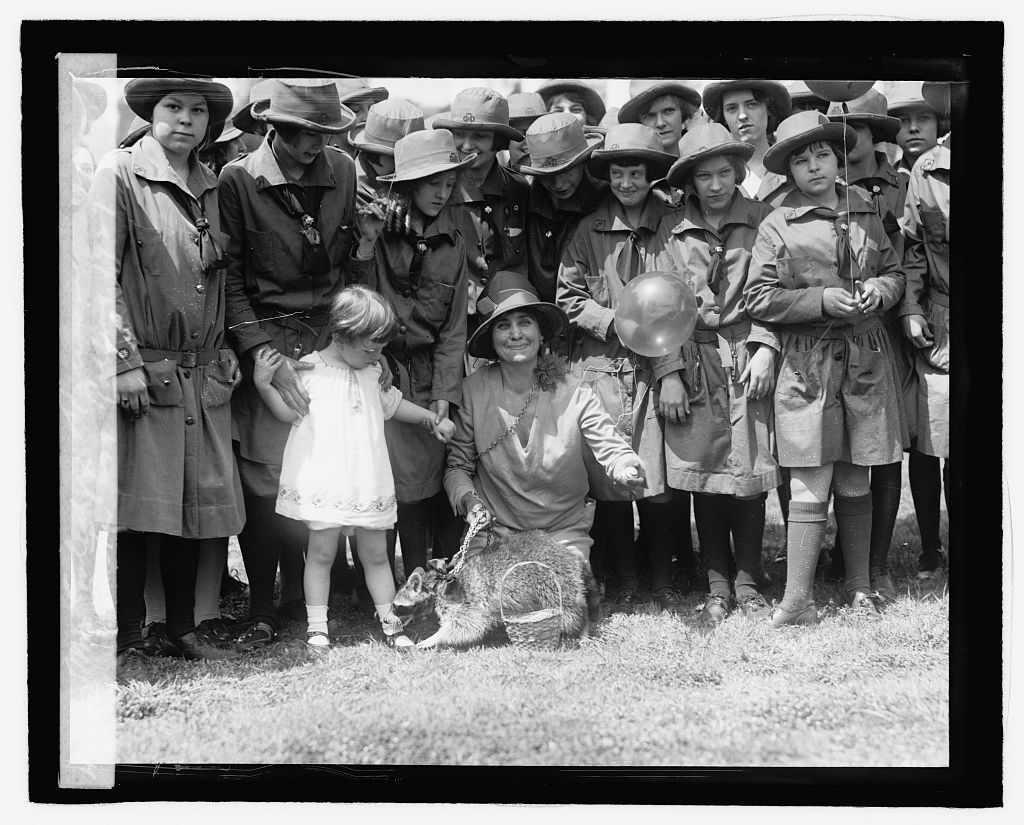 Raccoon Resistance - Page 2 of 2 - 99% Invisible