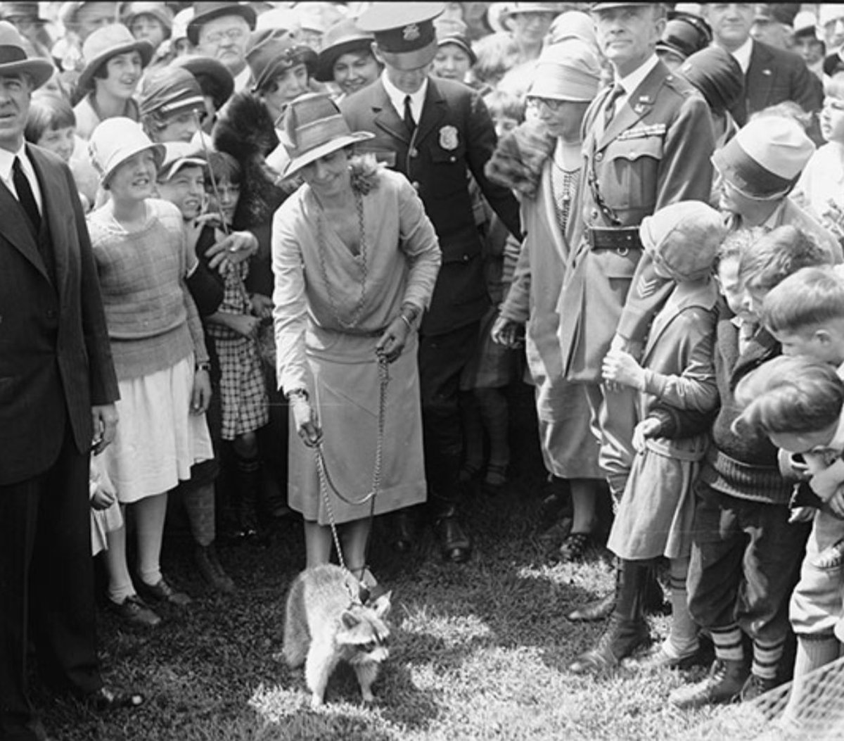 Raccoon Resistance - Page 2 of 2 - 99% Invisible