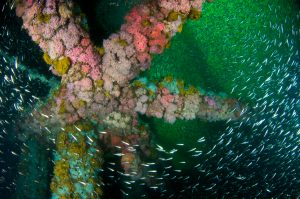 Pyrotechnic Fasteners: Explosive Bolts Help Get Ships Into Space & Back ...