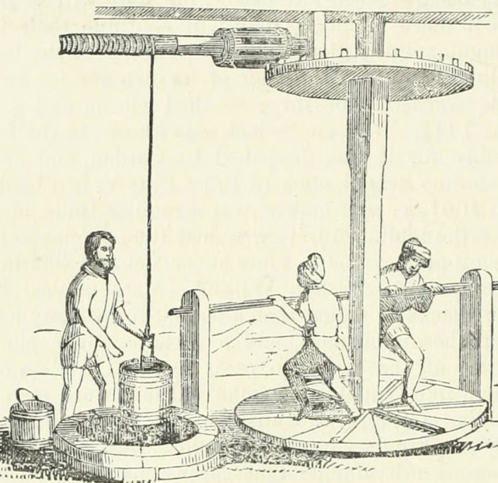 Turns of the Treadwheel: From Ancient Cranes to Prison Labor & Exercise ...