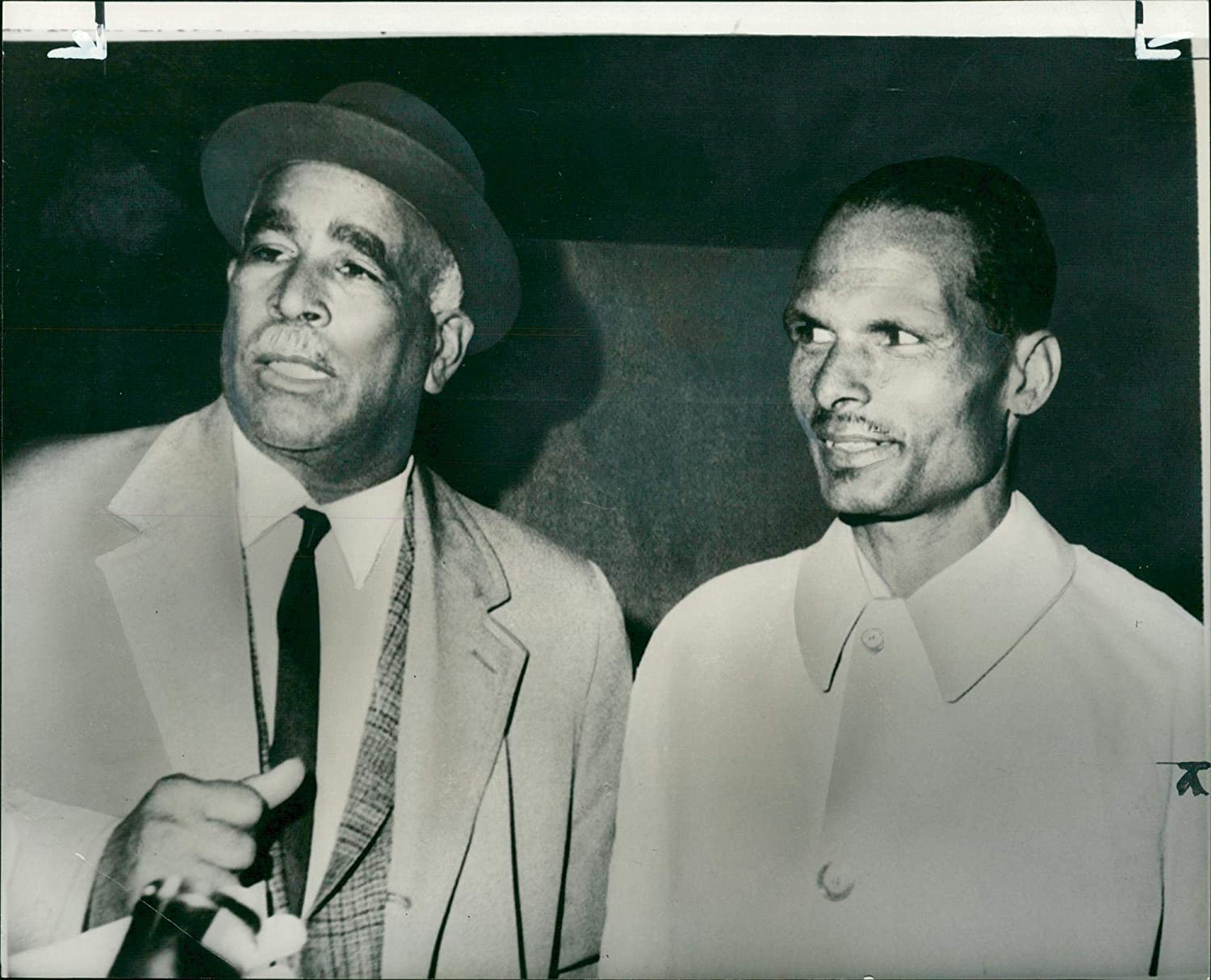 The Dolphin that Roared - 99% Invisible