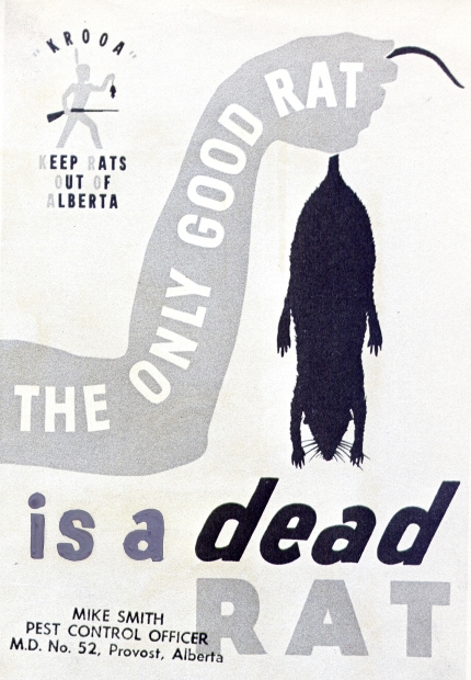 Extinction Agenda: How Border Patrols Enforce a Uniquely Rat-Free ...