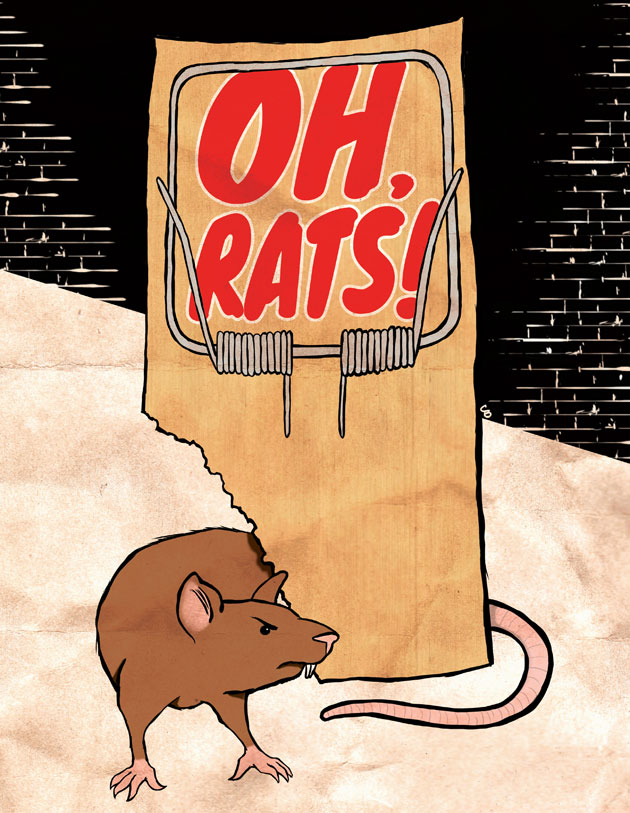 Extinction Agenda: How Border Patrols Enforce a Uniquely Rat-Free ...