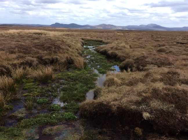 For the Love of Peat - 99% Invisible