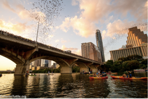 End of the Road for Botts' Dots: Round Markers Being Phased Out in ...