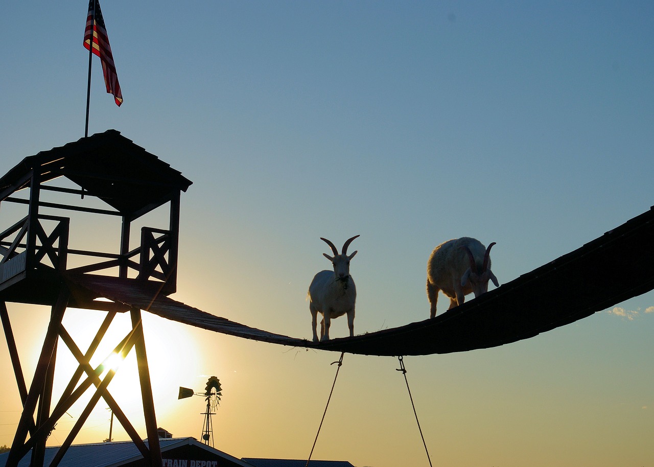 Creature Comforts: Ramp-Wrapped Towers Help Flatland Goats Feel More at ...