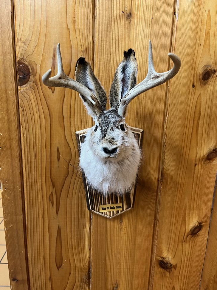 Tale of the Jackalope - 99% Invisible