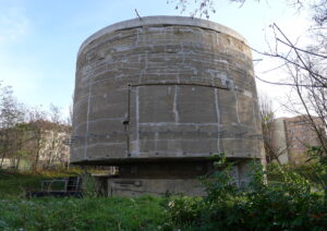 A Beetle By Any Other Name - 99% Invisible